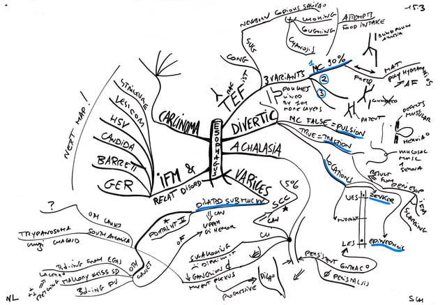 Mind maps pathology gastrointestinal | PDF
