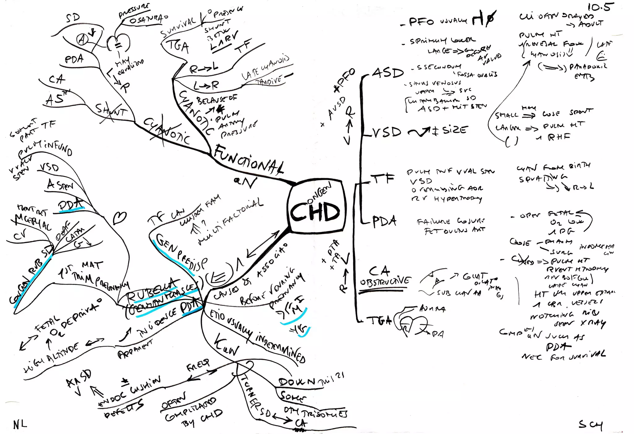Mind maps pathology_heart | PDF