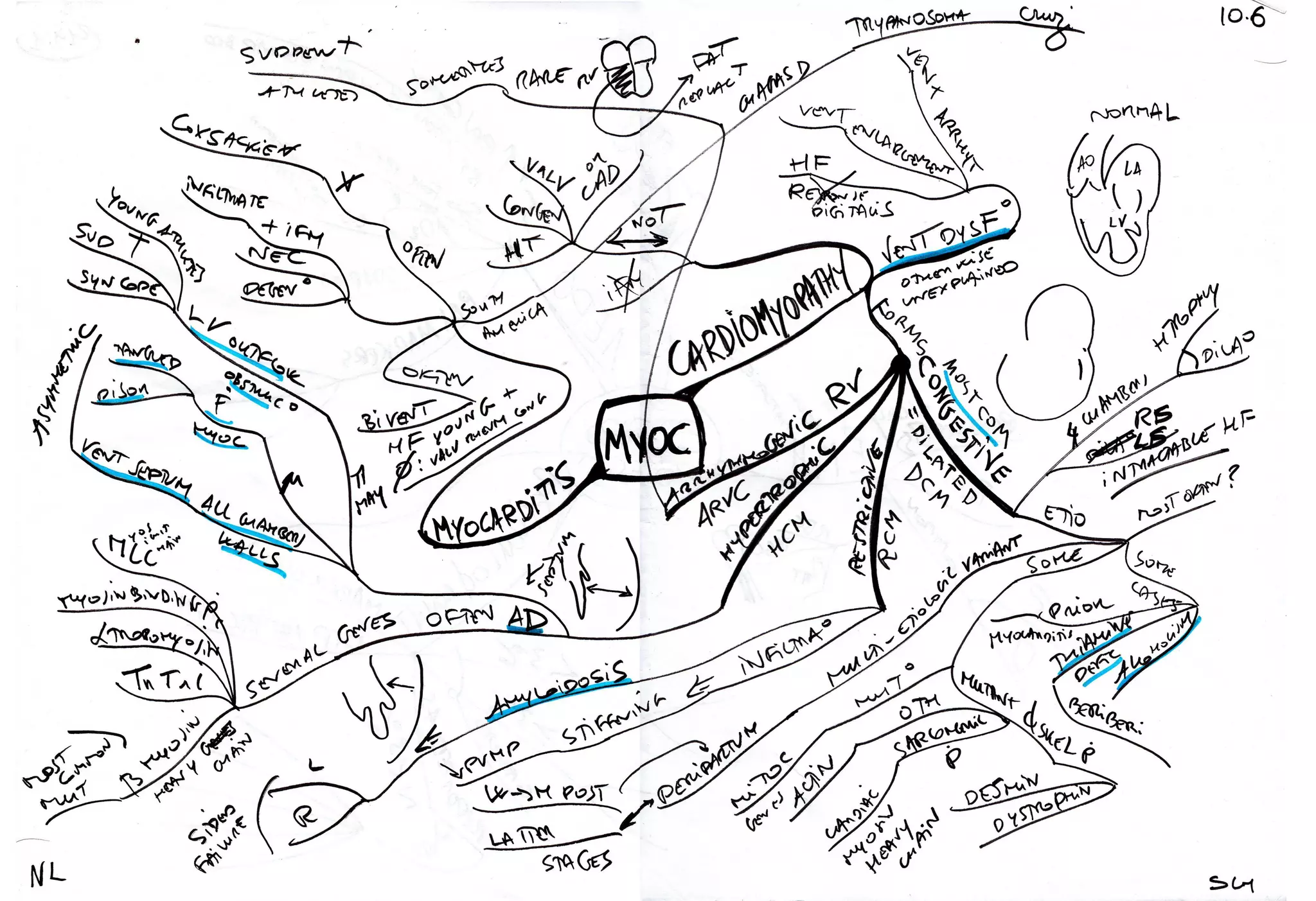 Mind maps pathology_heart | PDF