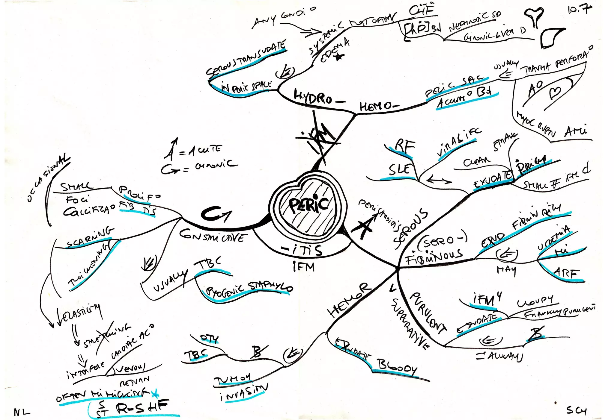 Mind maps pathology_heart | PDF