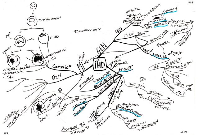Mind maps pathology_heart | PDF