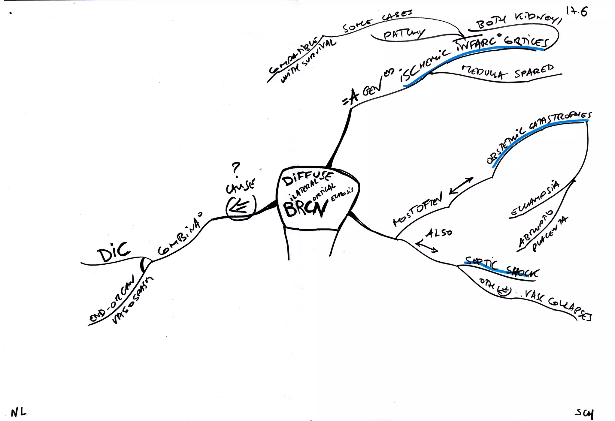 Mind maps pathology kidney and urinary tract | PPT