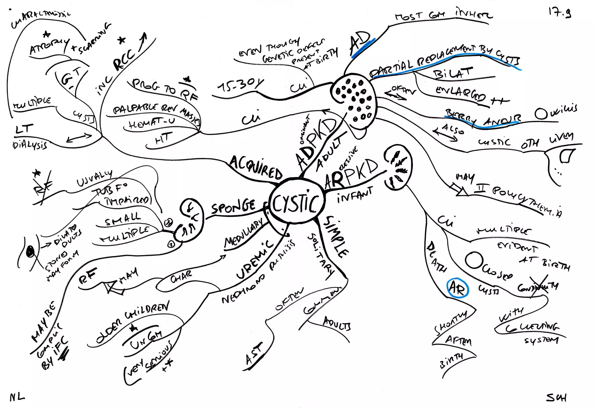 Mind maps pathology kidney and urinary tract | PPT