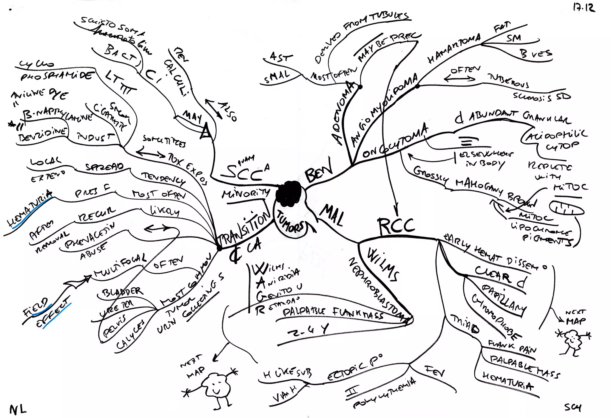 Mind maps pathology kidney and urinary tract | PPT