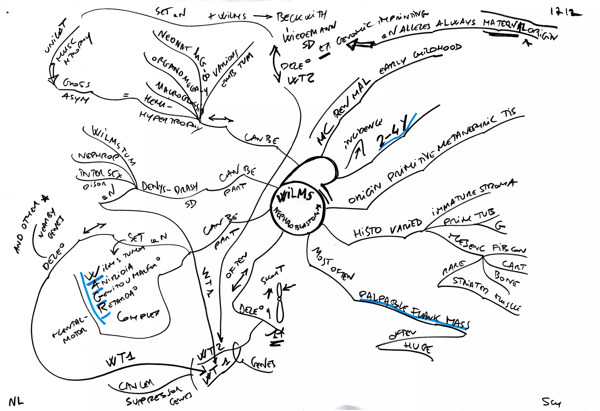 Mind maps pathology kidney and urinary tract | PDF