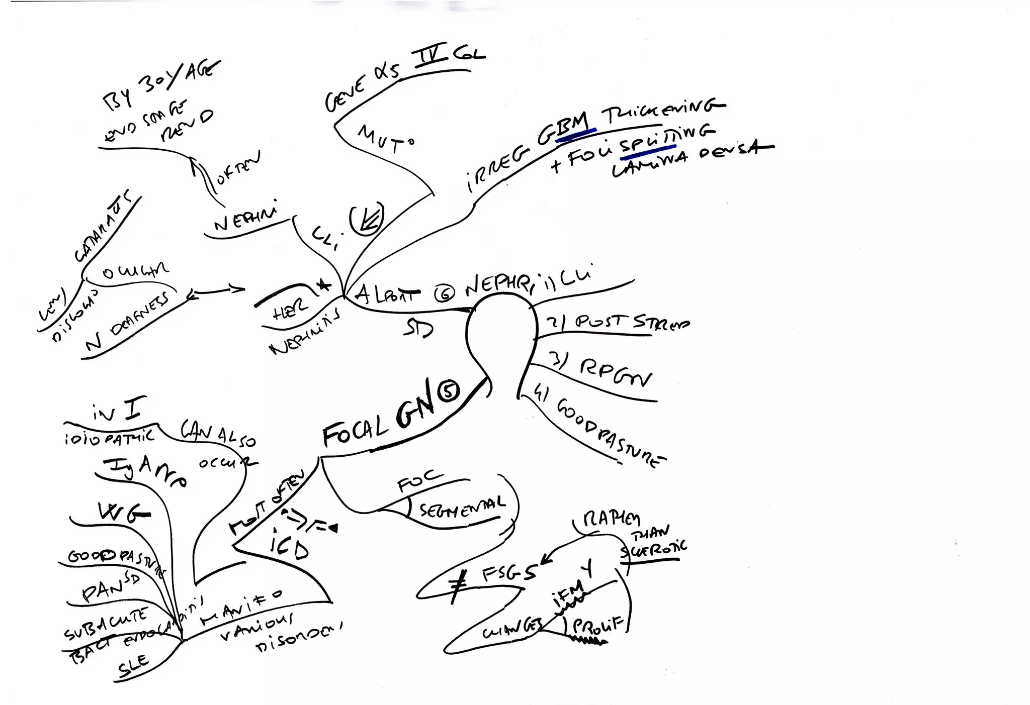Mind maps pathology kidney and urinary tract | PDF