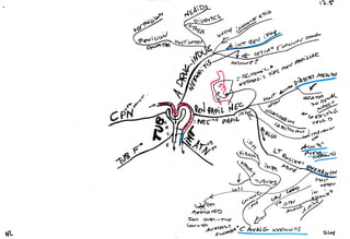 Mind maps pathology kidney and urinary tract | PPT