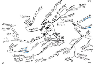 Mind maps pathology kidney and urinary tract | PPT