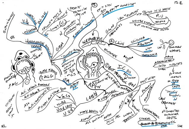 Mind maps pathology kidney and urinary tract