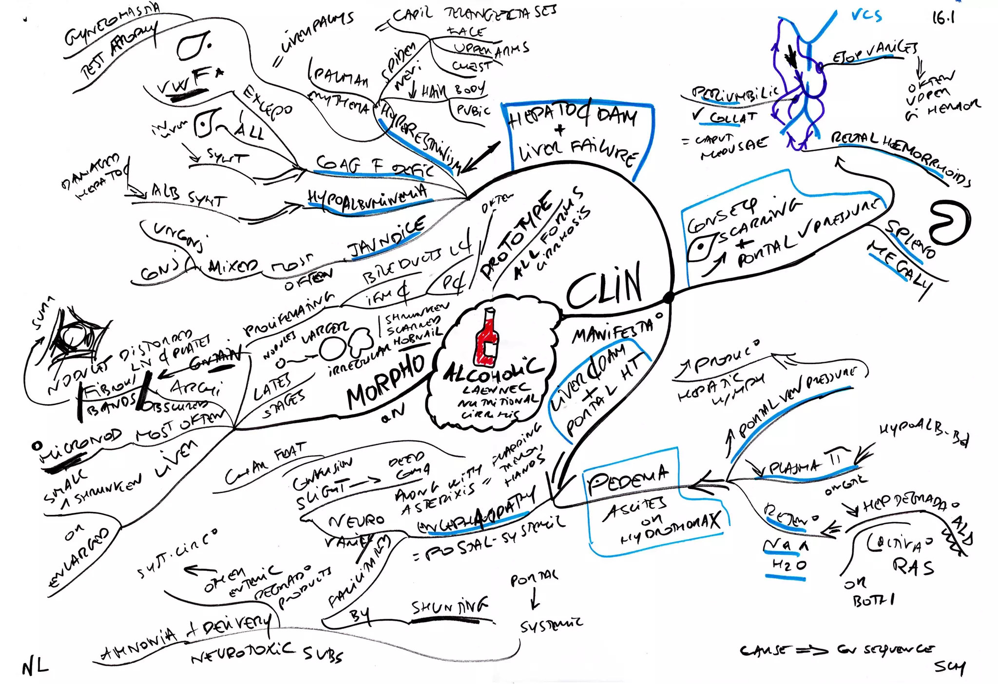 Mind maps pathology liver gallbladder exocrine pancreas | PDF