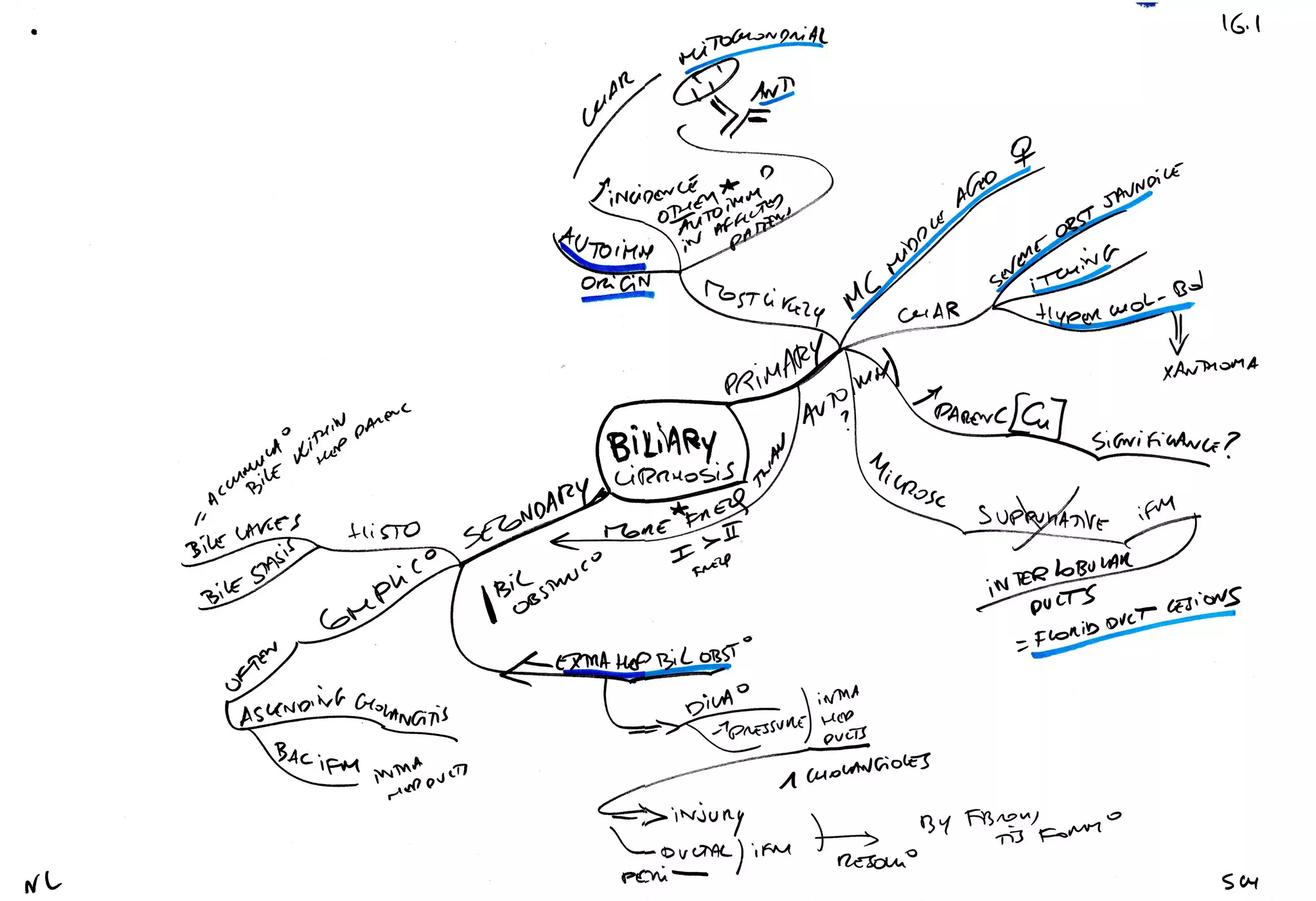 Mind maps pathology liver gallbladder exocrine pancreas | PDF