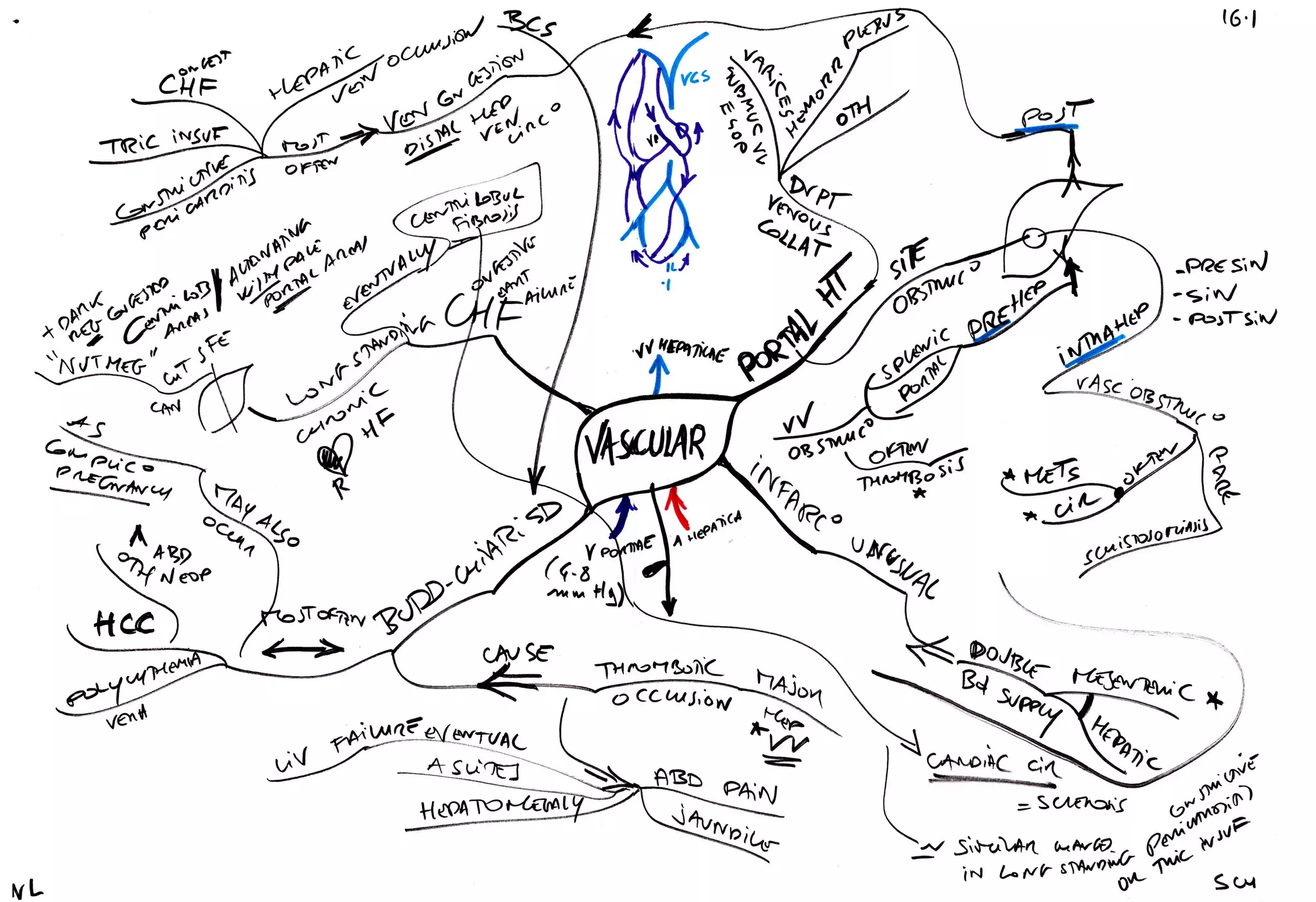 Mind maps pathology liver gallbladder exocrine pancreas | PDF
