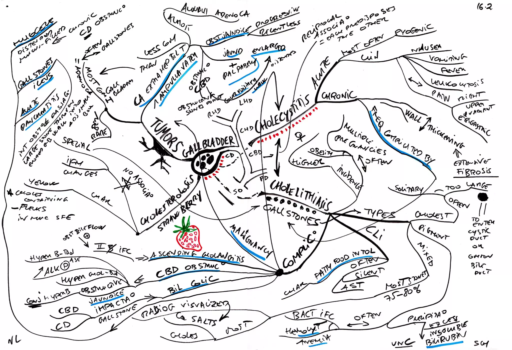 Mind maps pathology liver gallbladder exocrine pancreas | PDF
