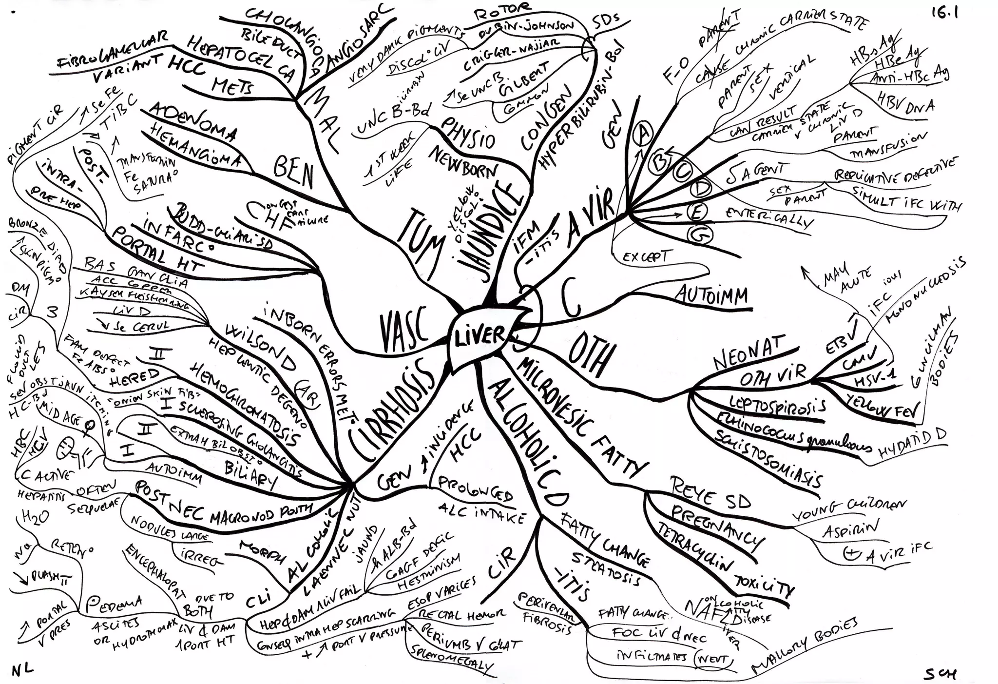 Mind maps pathology liver gallbladder exocrine pancreas | PDF