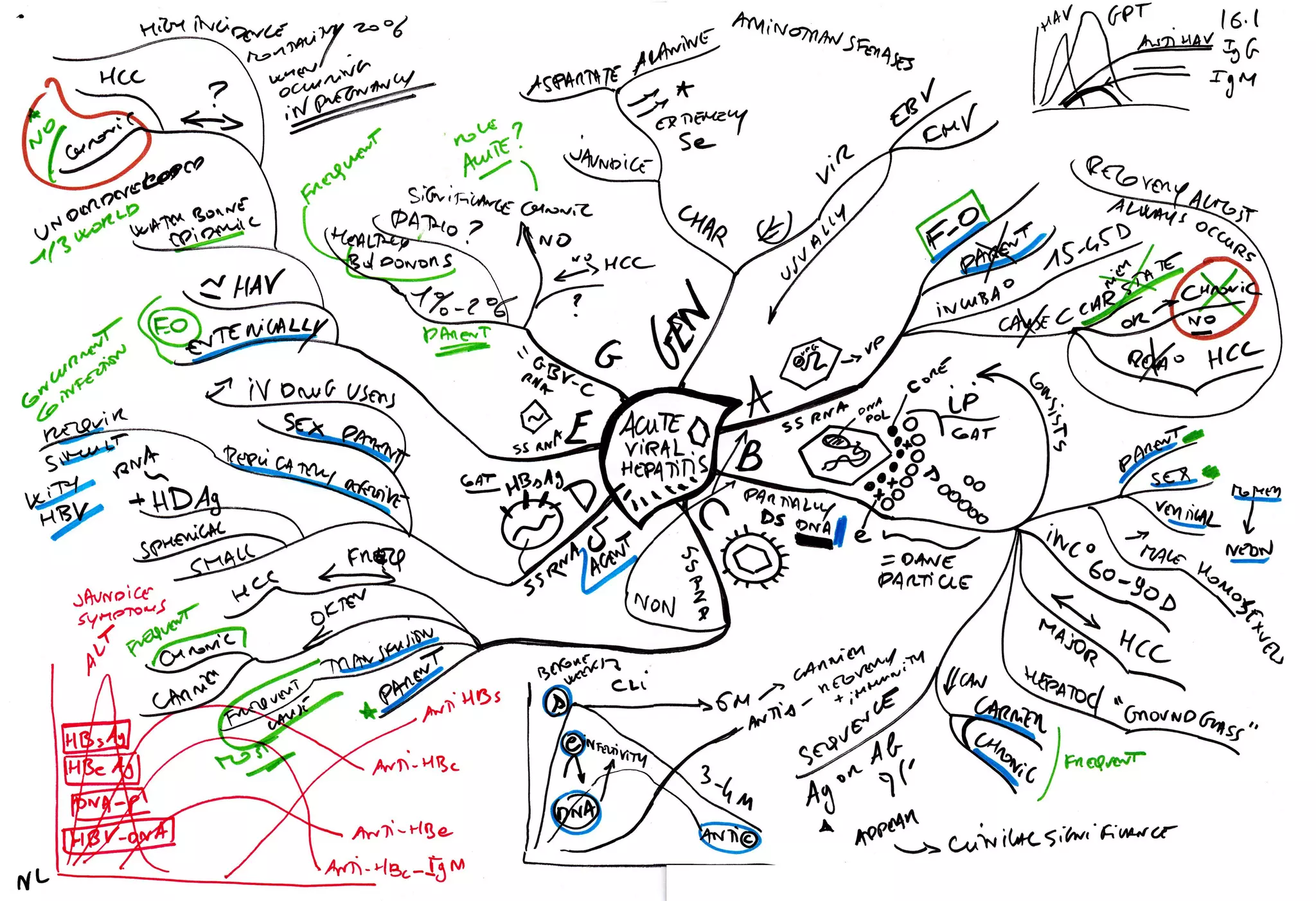 Mind maps pathology liver gallbladder exocrine pancreas | PDF