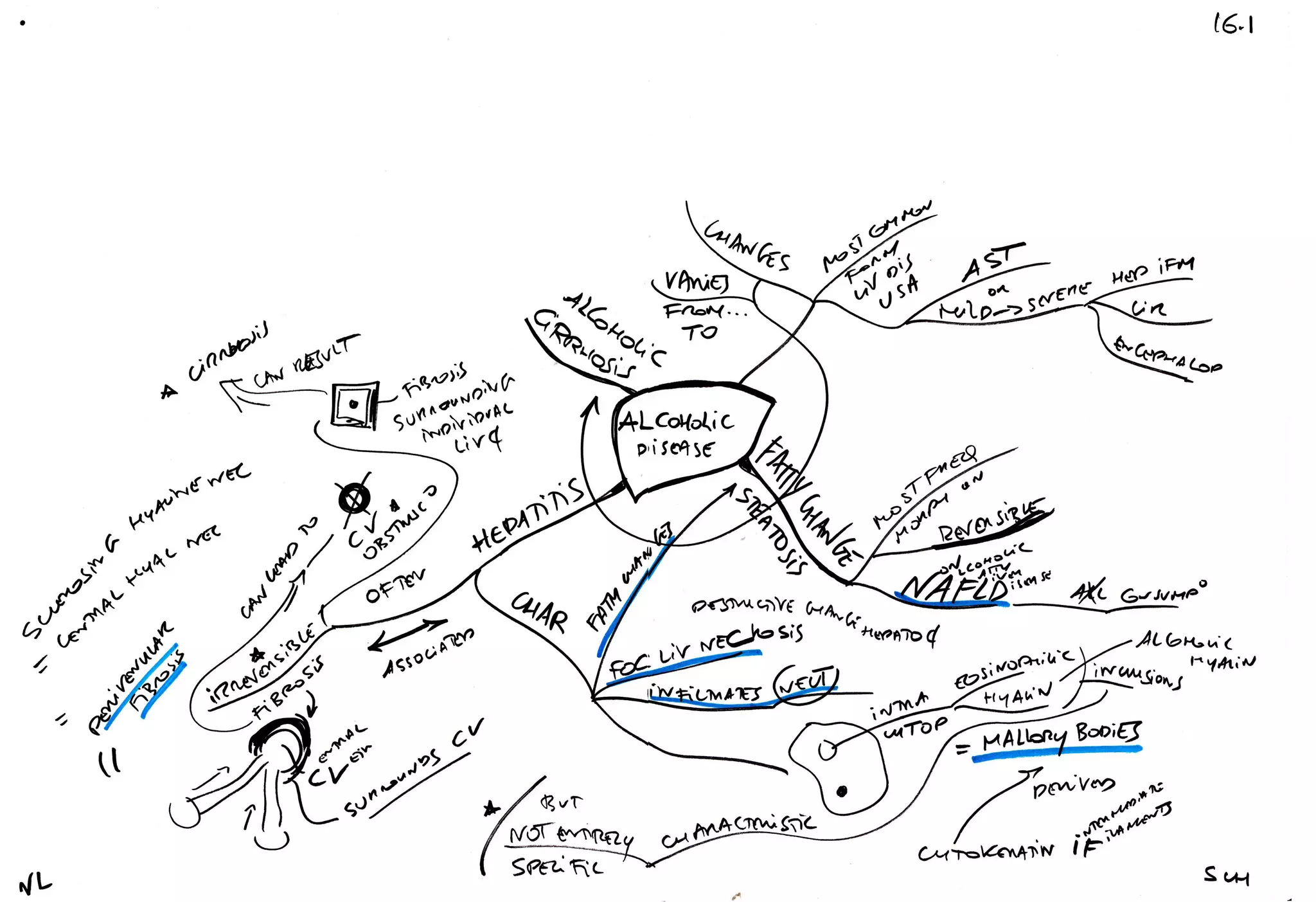 Mind maps pathology liver gallbladder exocrine pancreas | PDF