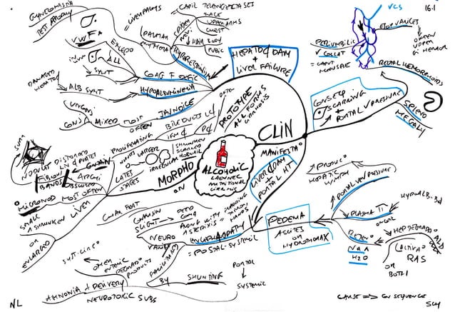 Mind maps pathology liver gallbladder exocrine pancreas | PDF