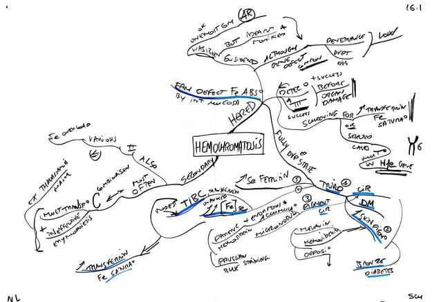 Mind maps pathology liver gallbladder exocrine pancreas | PDF