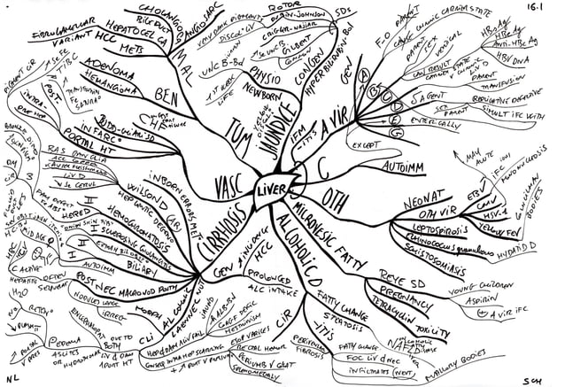 Mind maps pathology liver gallbladder exocrine pancreas | PDF