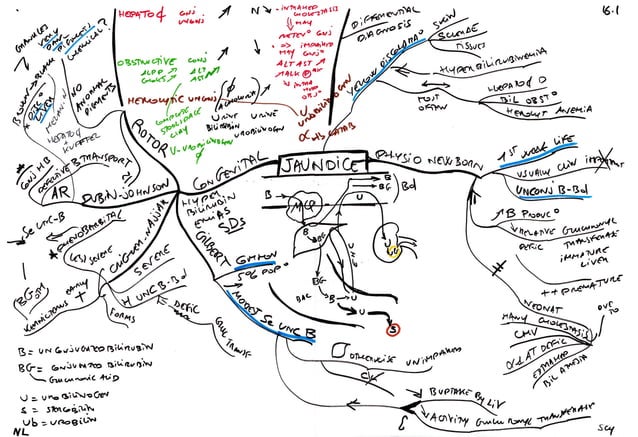Mind maps pathology liver gallbladder exocrine pancreas | PDF