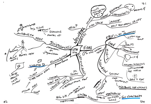 Mind maps pathology liver gallbladder exocrine pancreas | PDF
