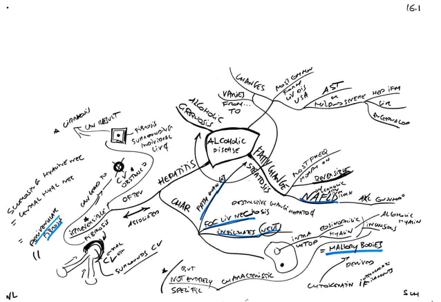 Mind maps pathology liver gallbladder exocrine pancreas | PDF