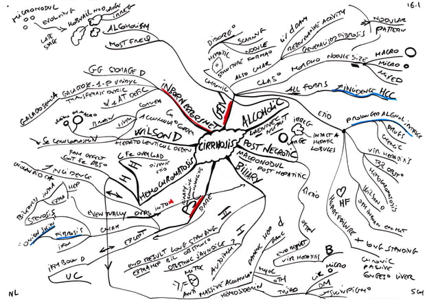 Mind maps pathology liver gallbladder exocrine pancreas | PDF