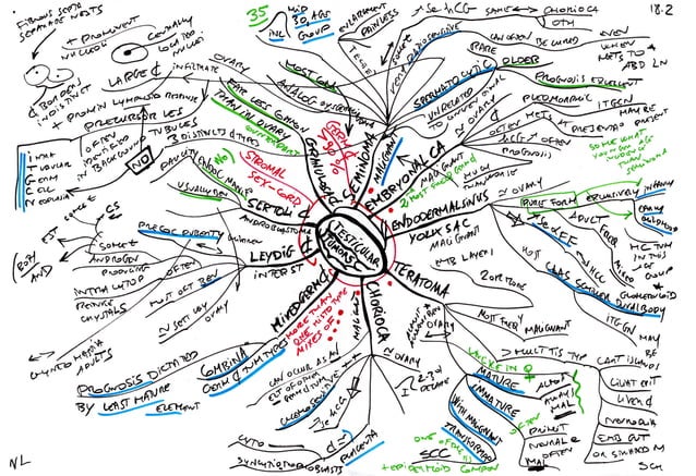 Mind maps pathology male reproductive system