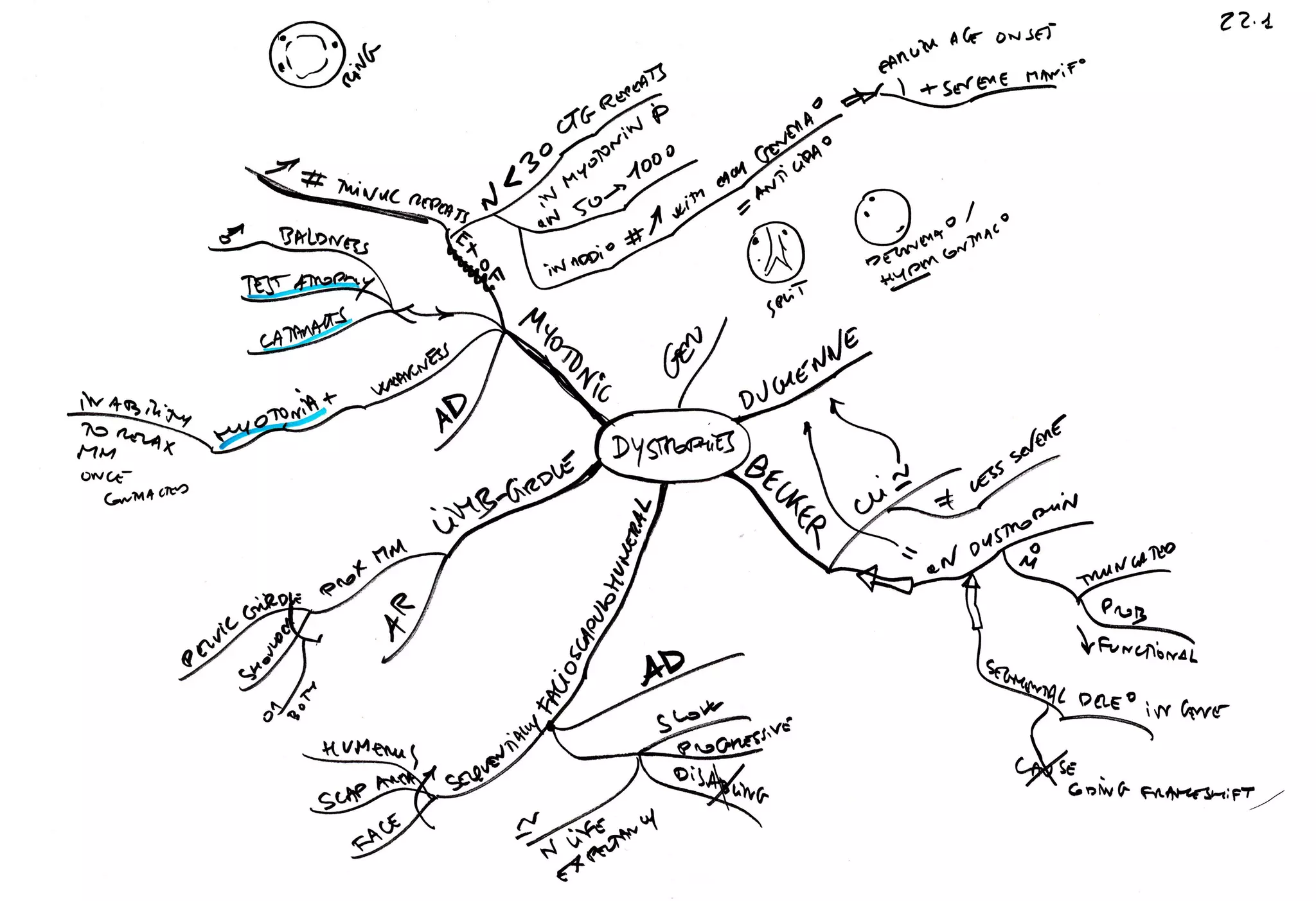 Mind maps pathology musculoskeletal | PDF