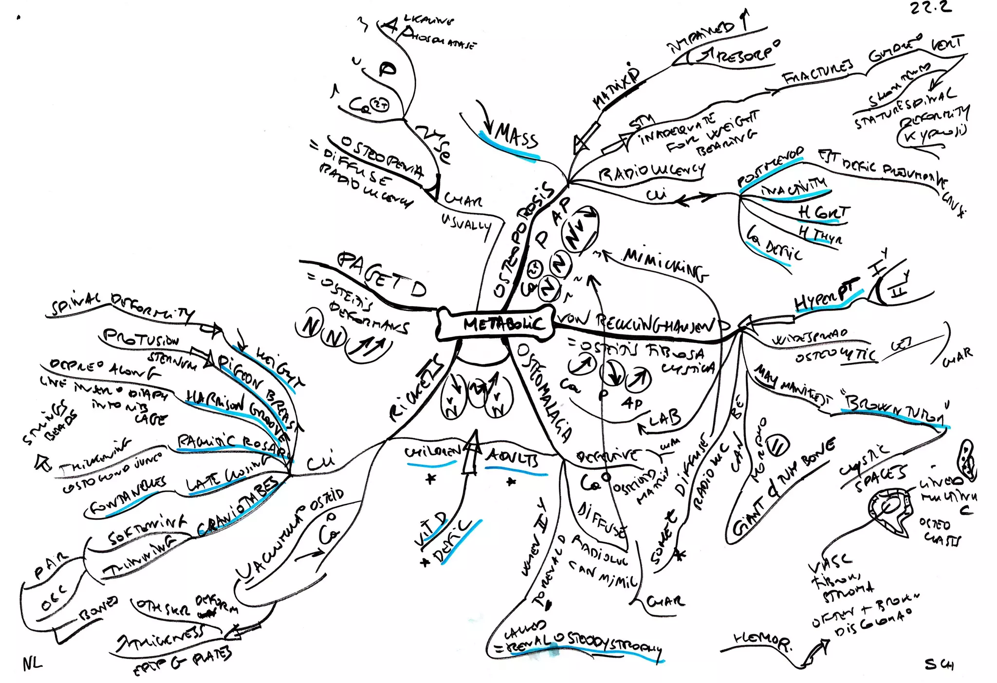 Mind maps pathology musculoskeletal | PDF