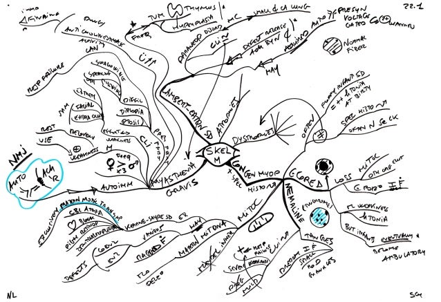 Mind maps pathology musculoskeletal