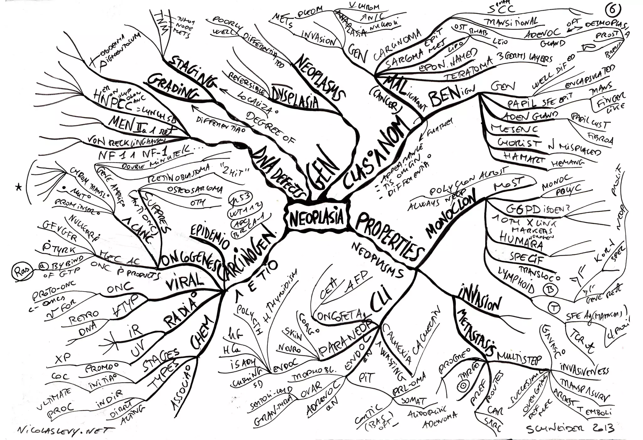 Mind maps pathology neoplasia | PDF