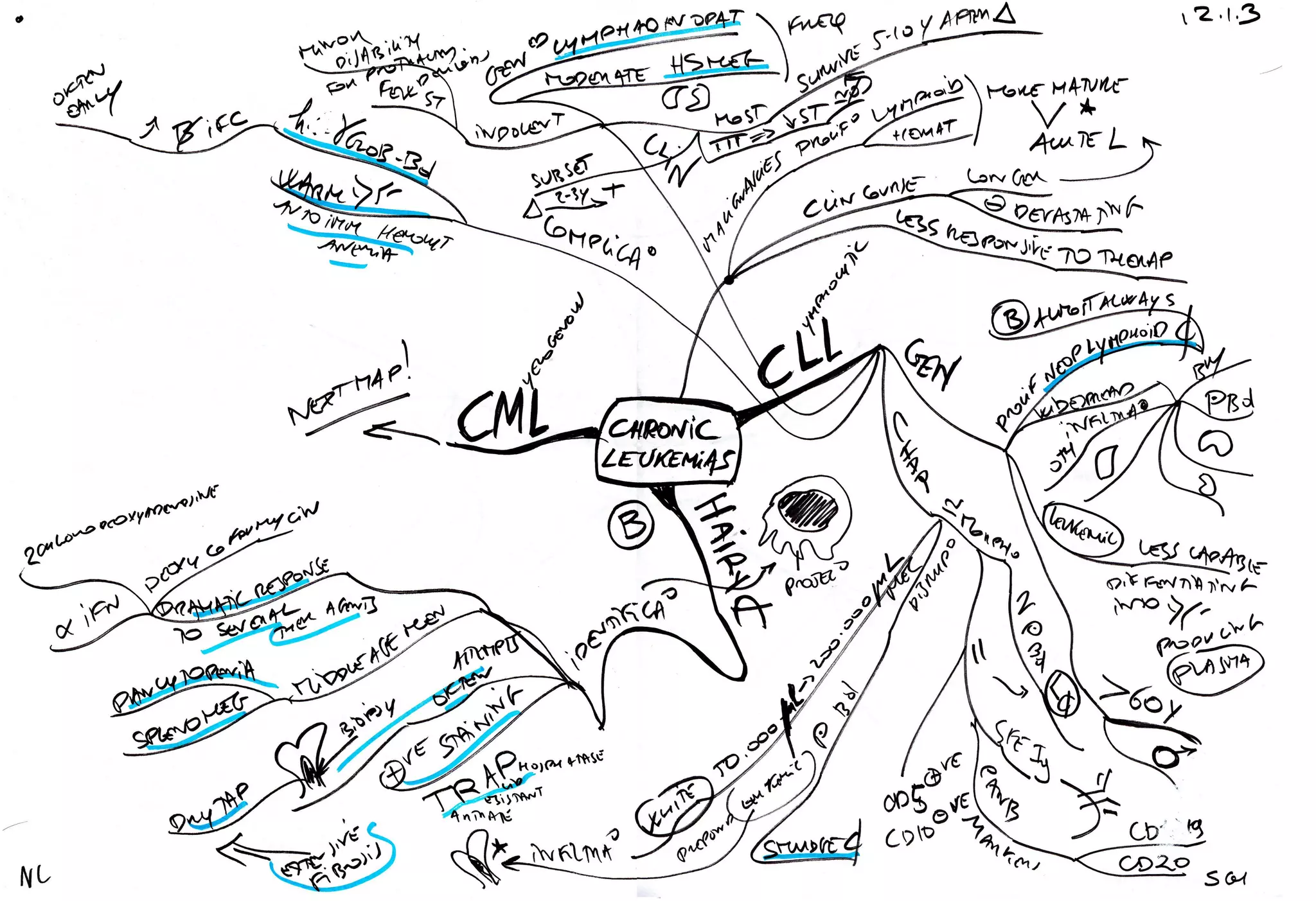 Mind maps pathology_neoplastic_proliferative_hematopoietic_lymphoid | PDF