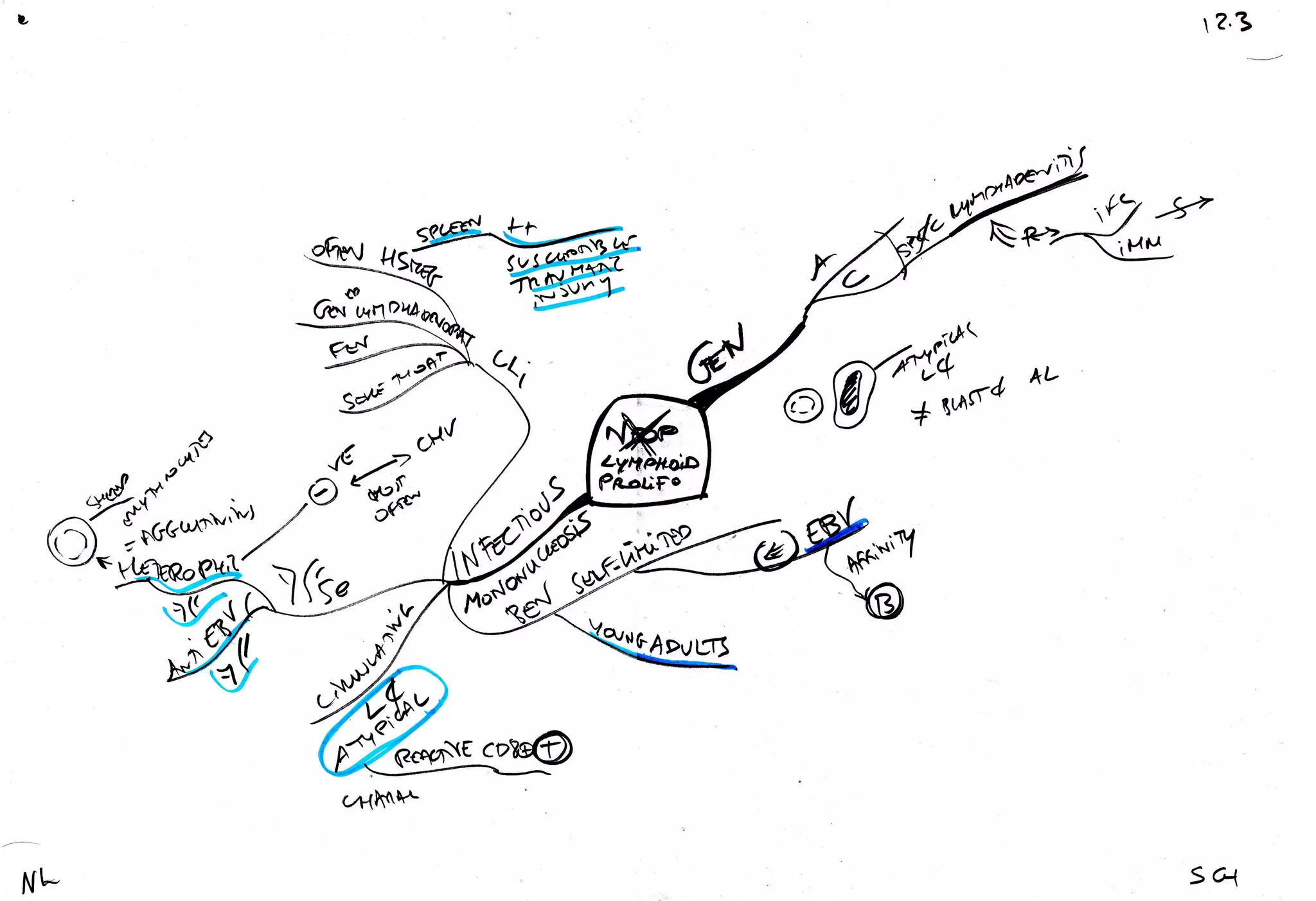 Mind maps pathology_neoplastic_proliferative_hematopoietic_lymphoid | PDF