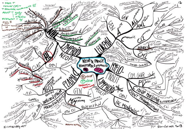 Mind maps pathology_neoplastic_proliferative_hematopoietic_lymphoid | PDF