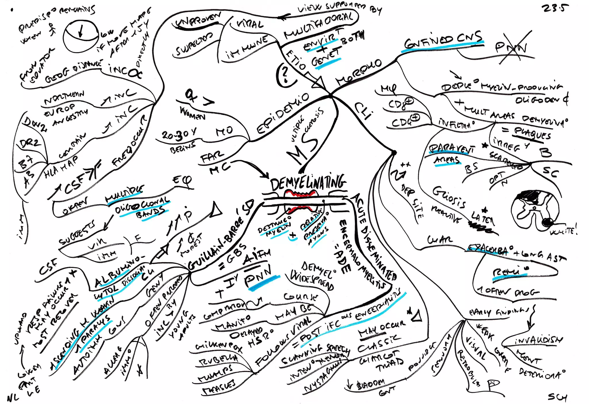 Mind maps pathology nervous system | PDF
