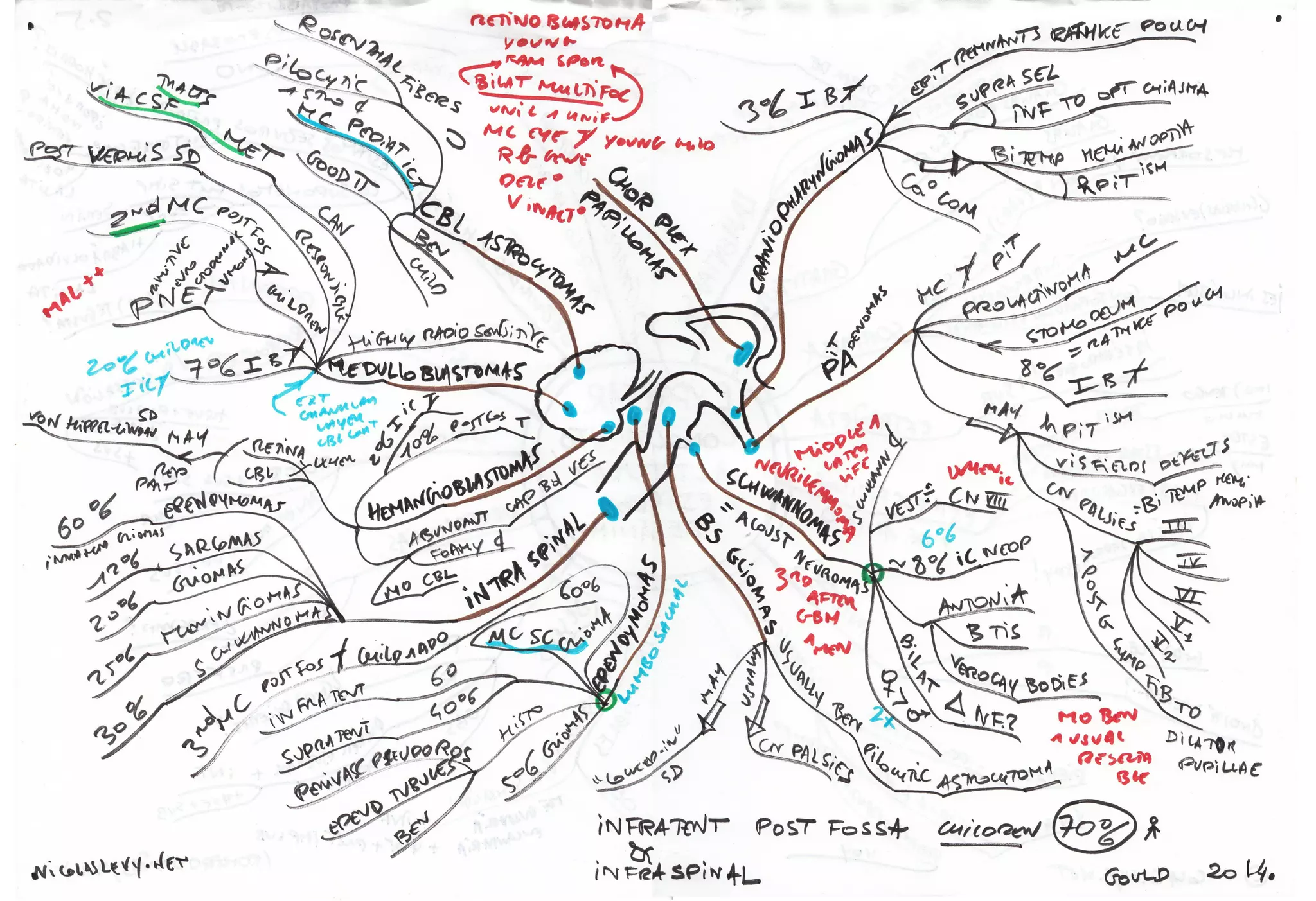 Mind maps pathology nervous system | PDF