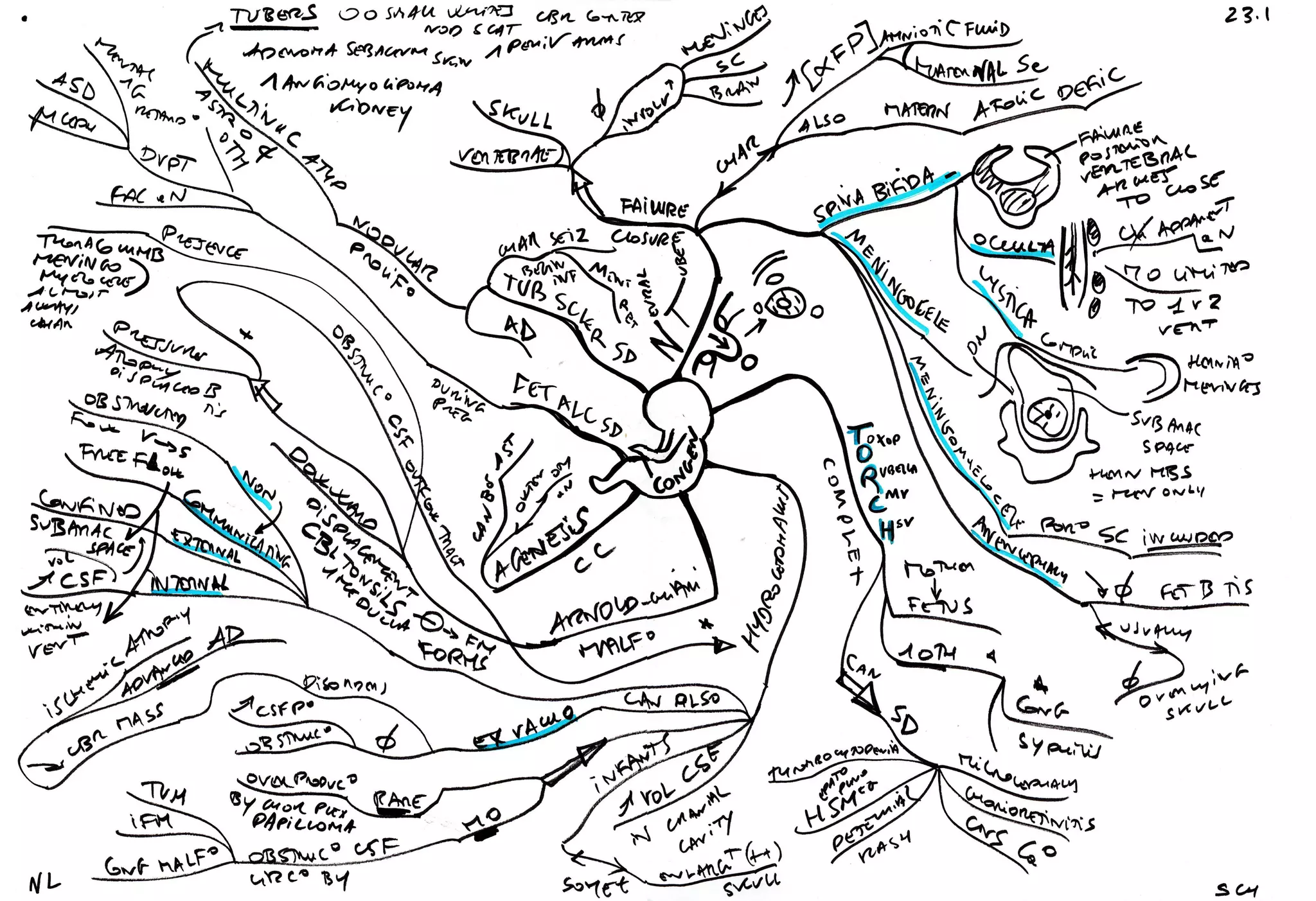 Mind maps pathology nervous system | PDF
