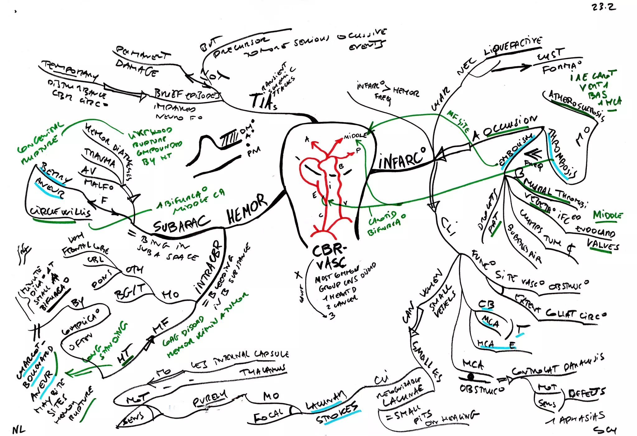 Mind maps pathology nervous system | PDF