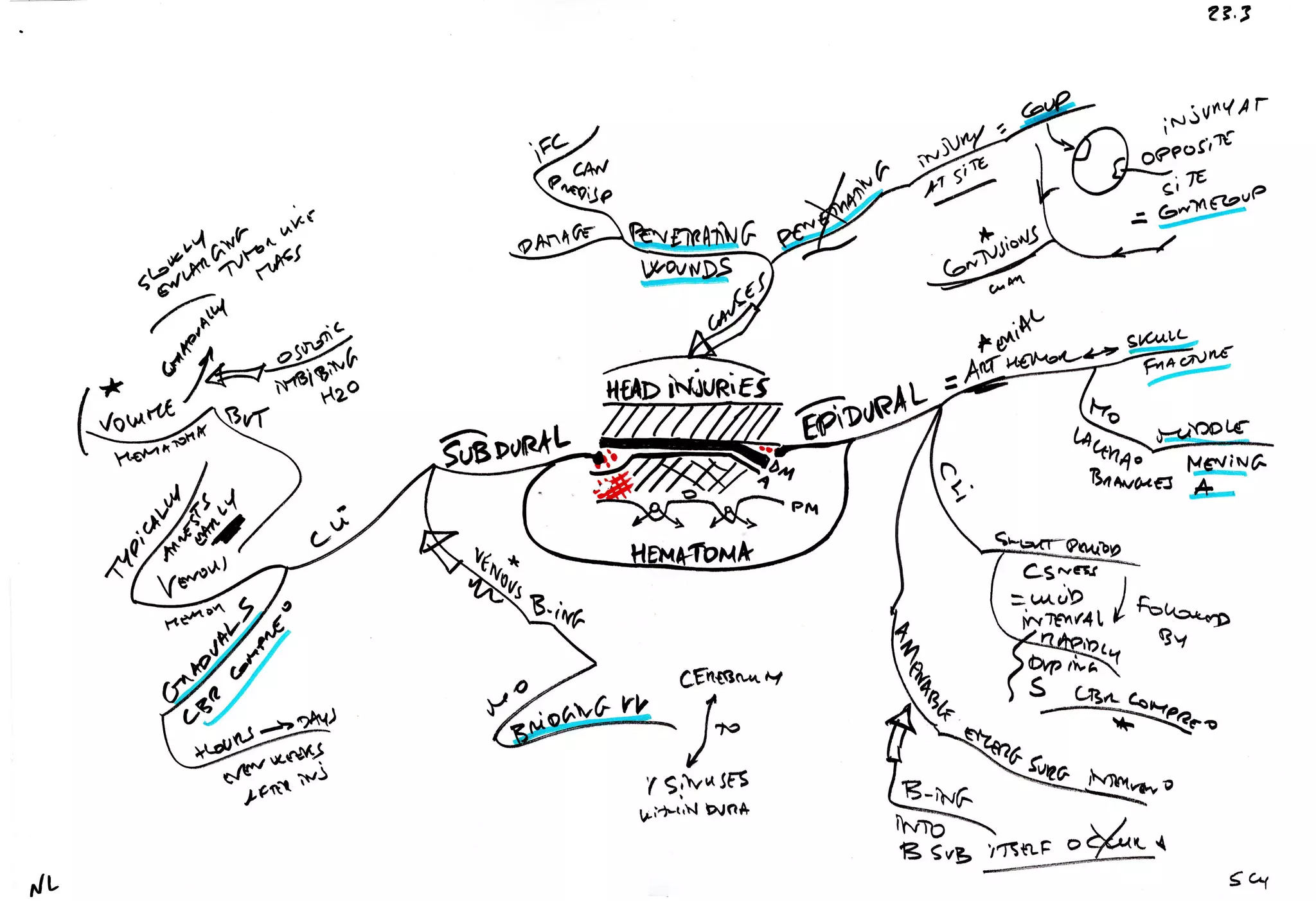 Mind maps pathology nervous system | PDF