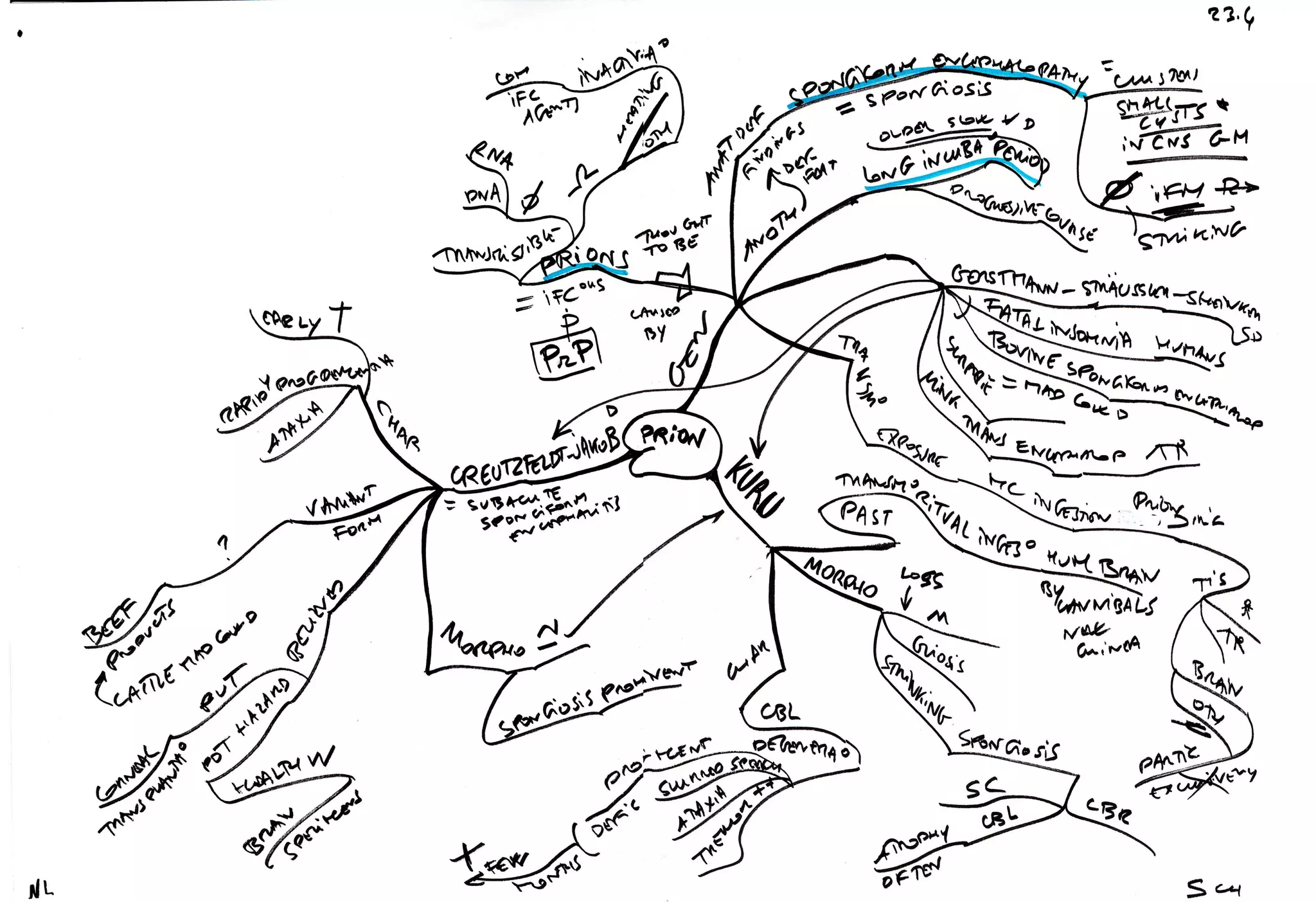 Mind maps pathology nervous system | PDF | Brain and Nervous System ...