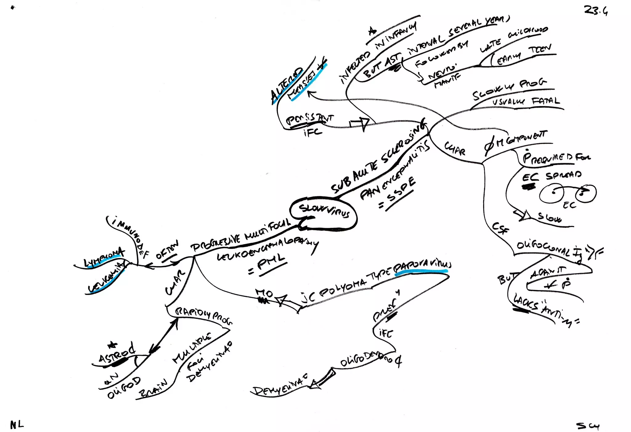 Mind maps pathology nervous system | PDF