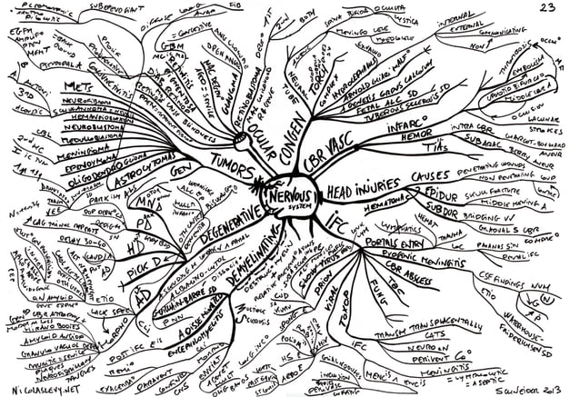 Mind maps pathology nervous system | PDF | Brain and Nervous System ...