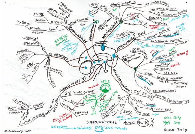 Mind maps pathology nervous system | PDF