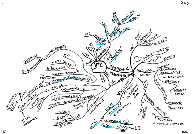 Mind maps pathology nervous system | PDF