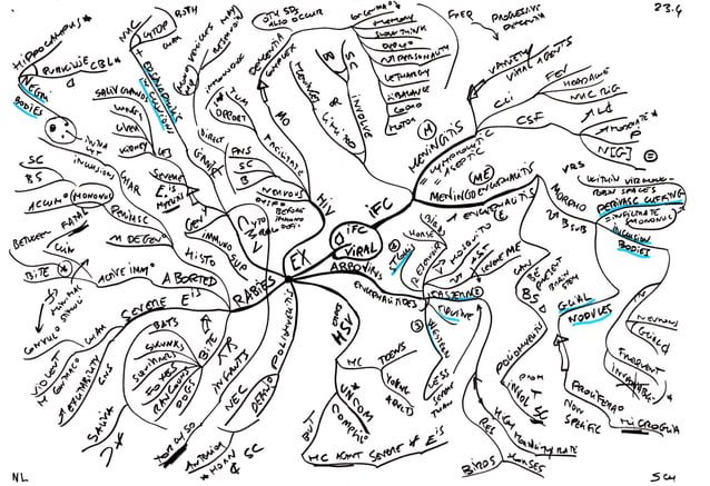 Mind maps pathology nervous system | PDF | Brain and Nervous System ...
