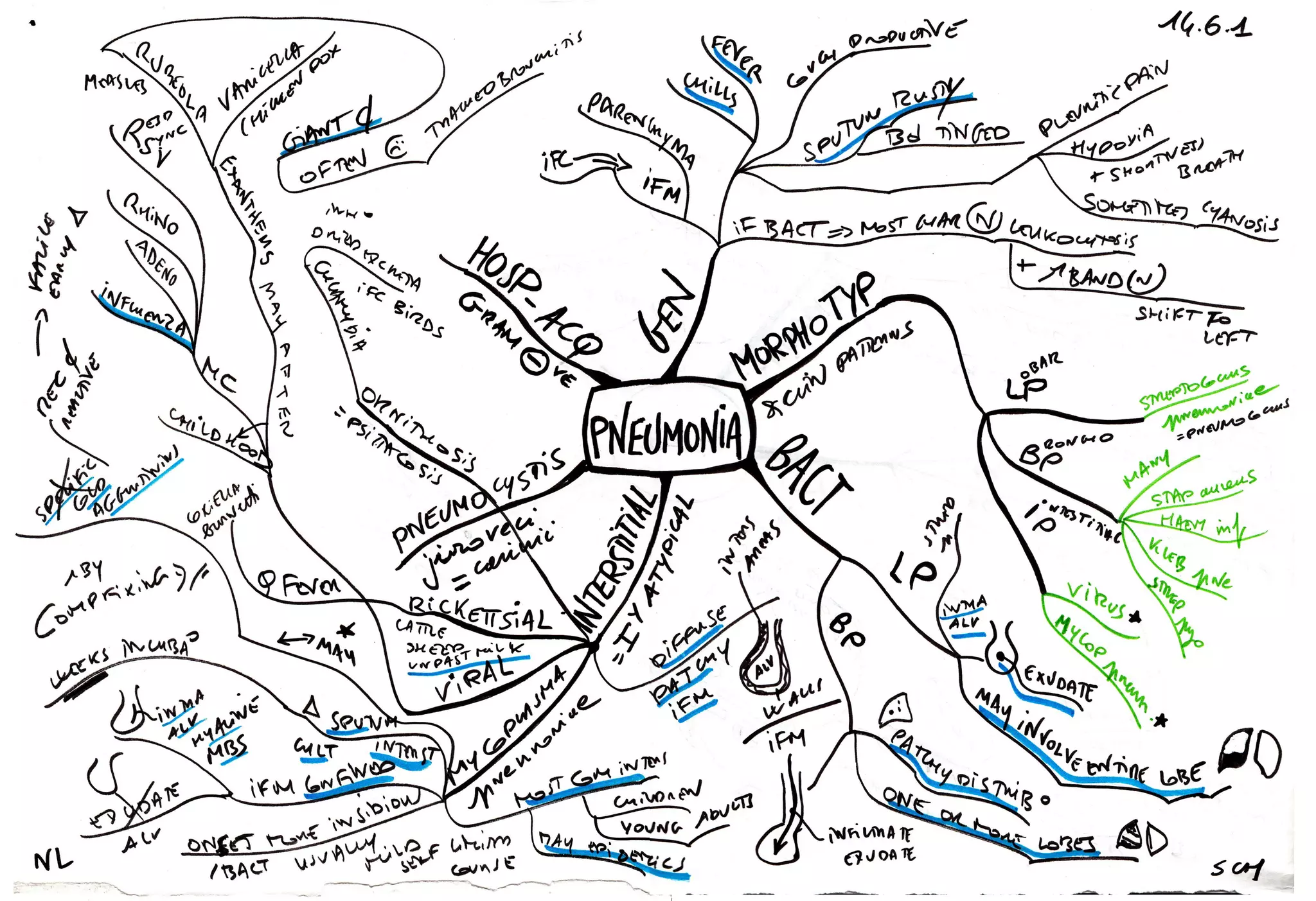 Mind maps pathology respiratory | PDF | Lung and Respiratory Health ...