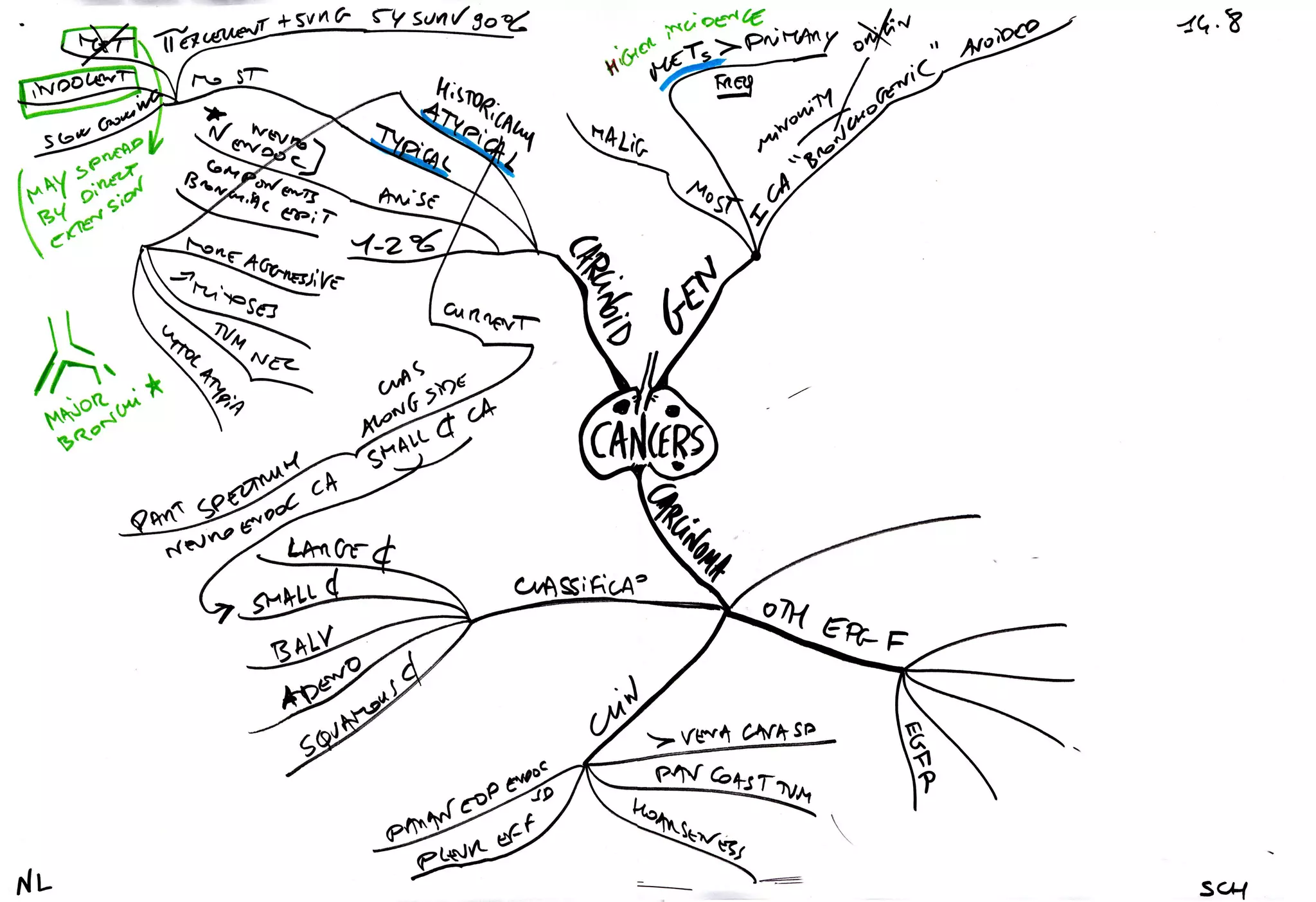 Mind maps pathology respiratory | PDF