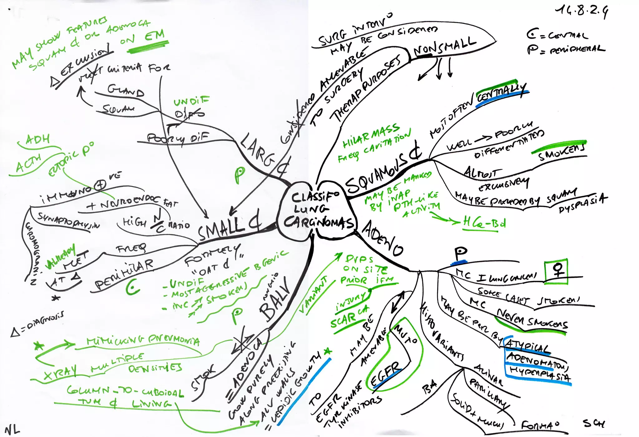 Mind maps pathology respiratory | PDF