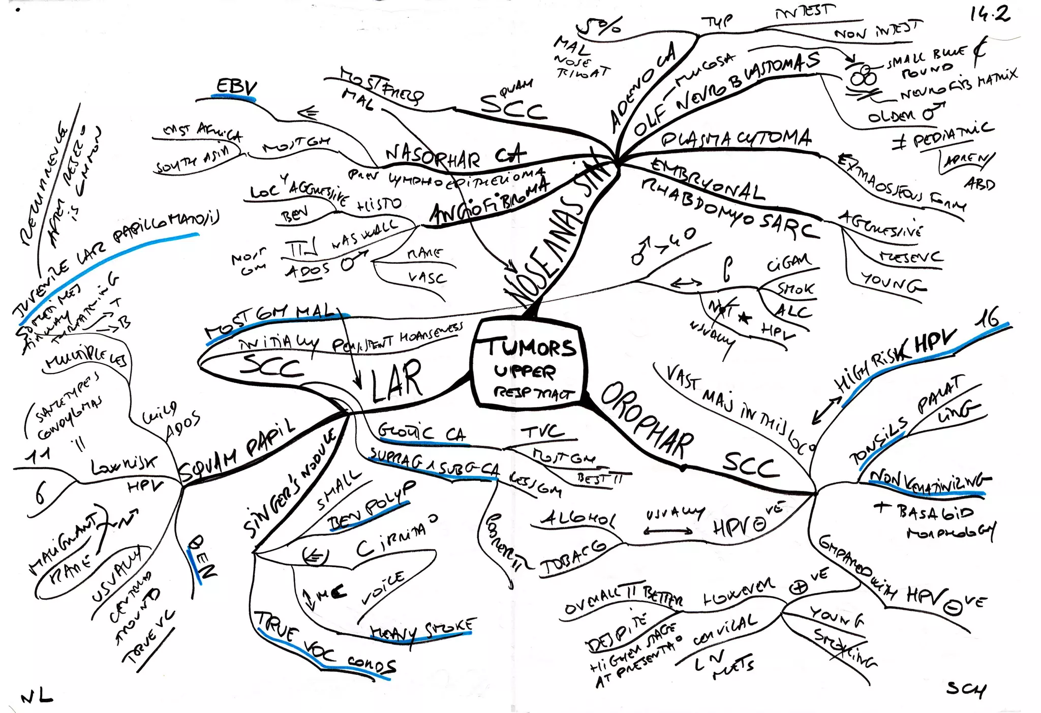 Mind maps pathology respiratory | PDF